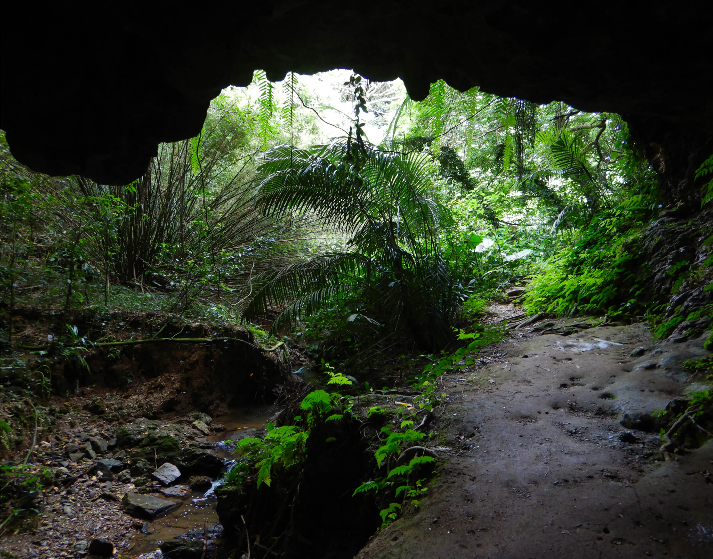Tunnel Rats, Exploring Okinawa's WWII Caves - Welcome to Zimmin Around ...