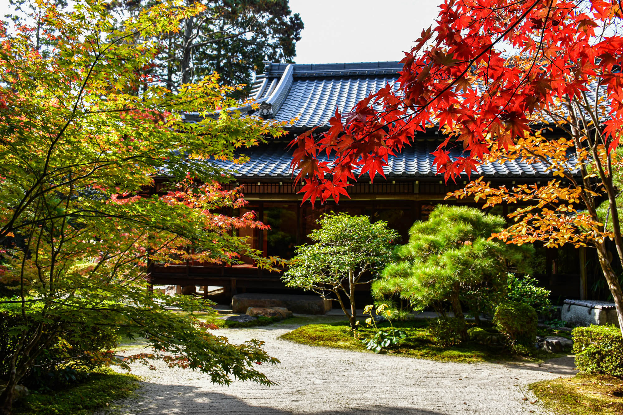 5 Lesser-Known Temples in Kyoto - Zimmin Around the World